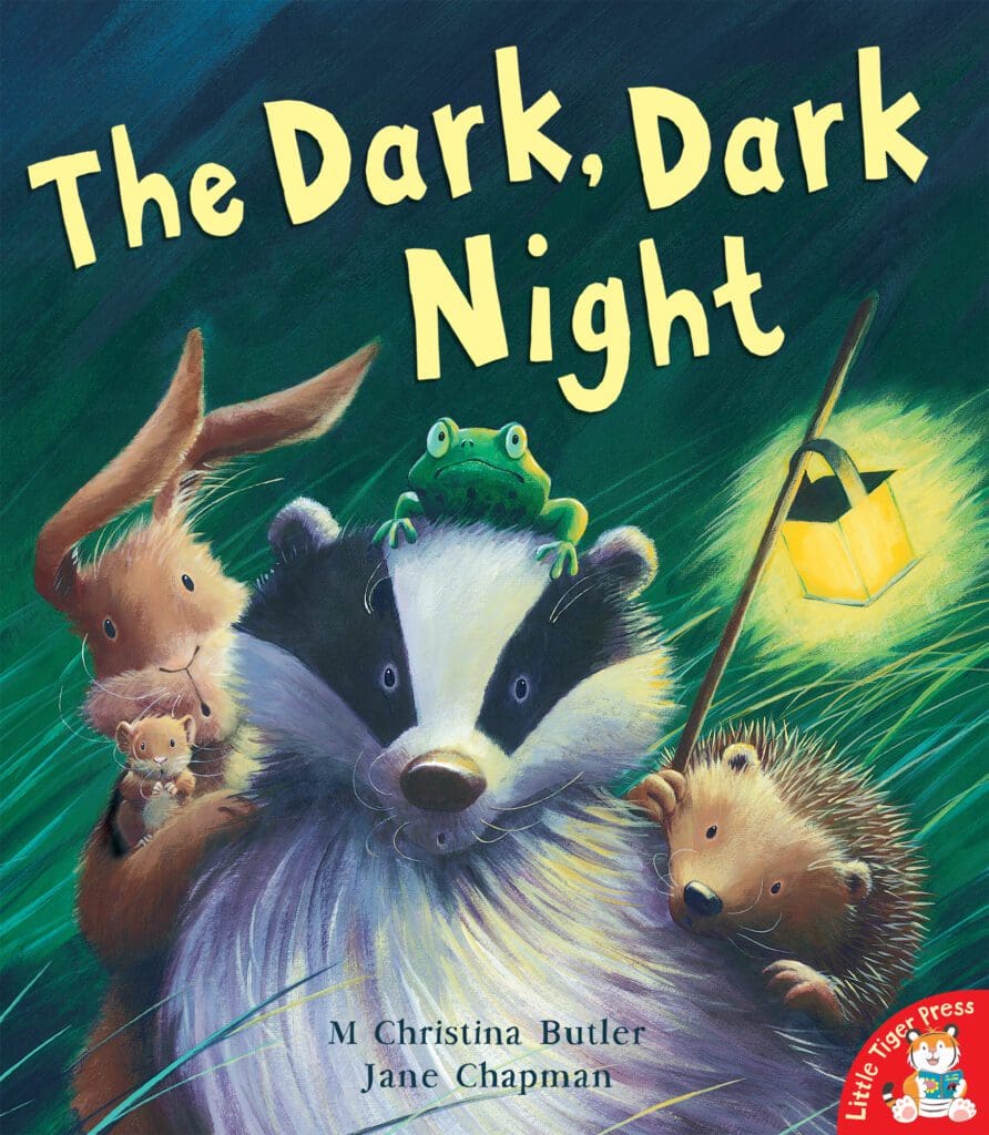 The Dark, Dark Night - Little Tiger