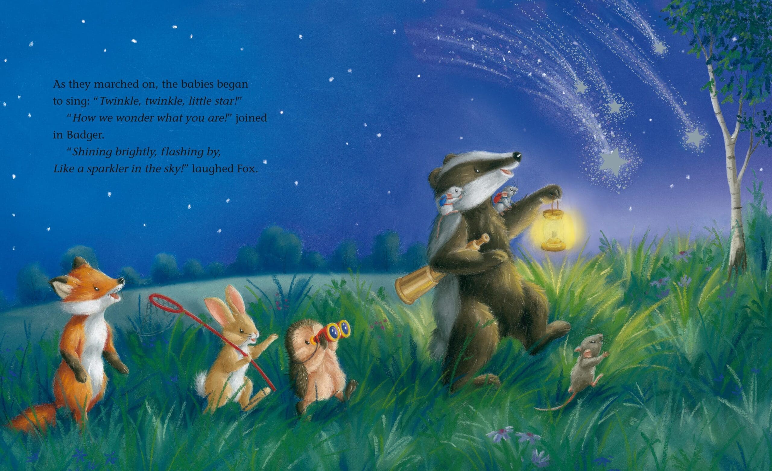 One Starry Night - Little Tiger