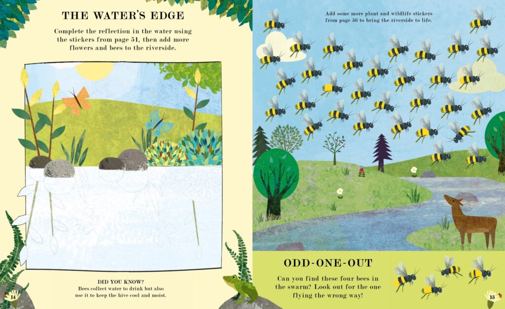Bee: Activity Book - Little Tiger