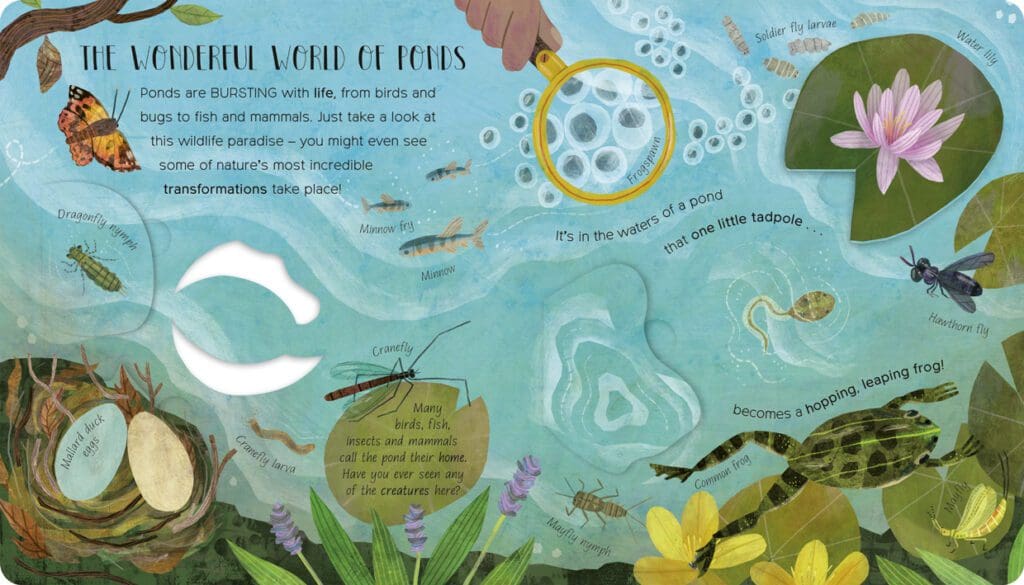 One Little Tadpole - Little Tiger