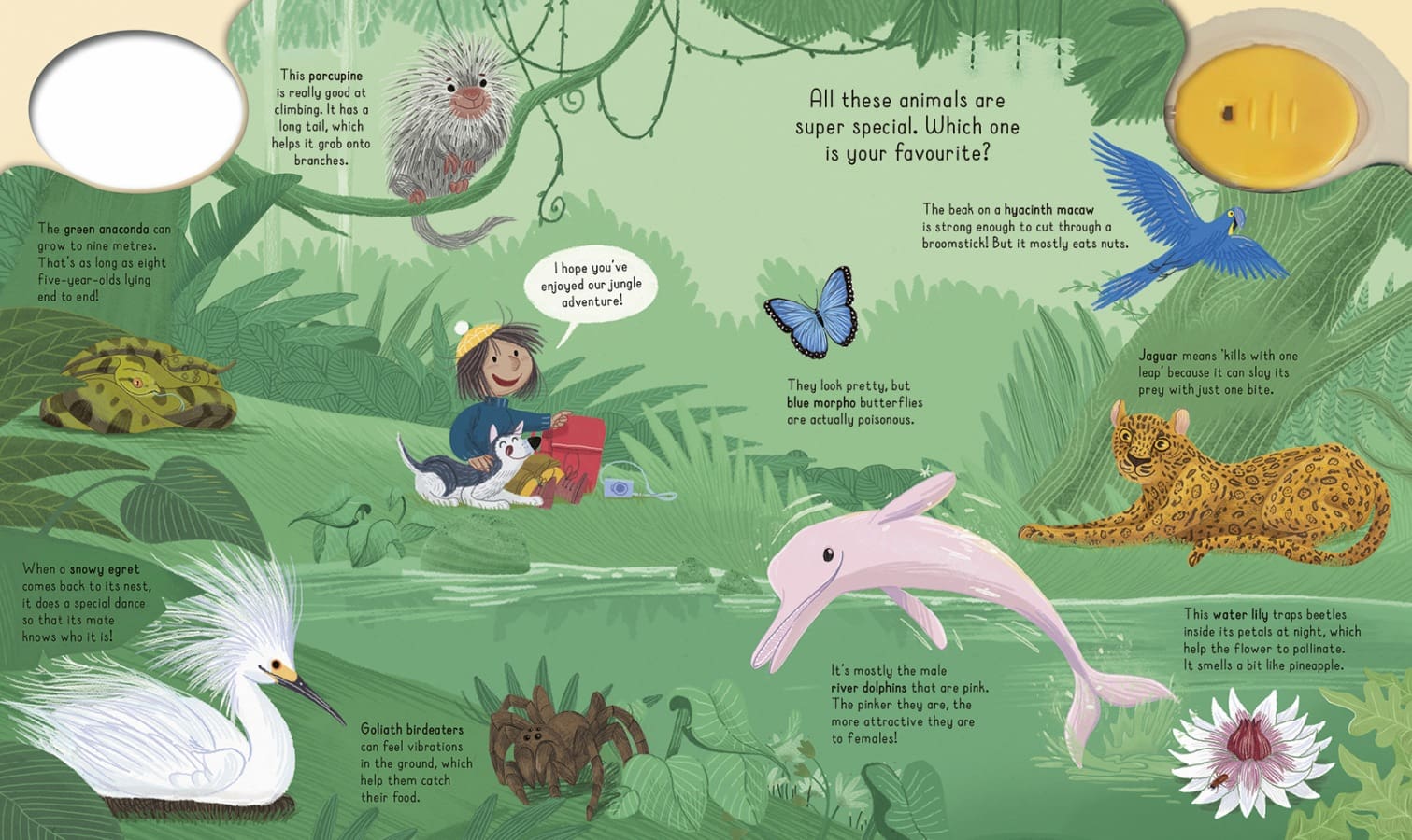 Magic Torch: Explore the Rainforest - Little Tiger