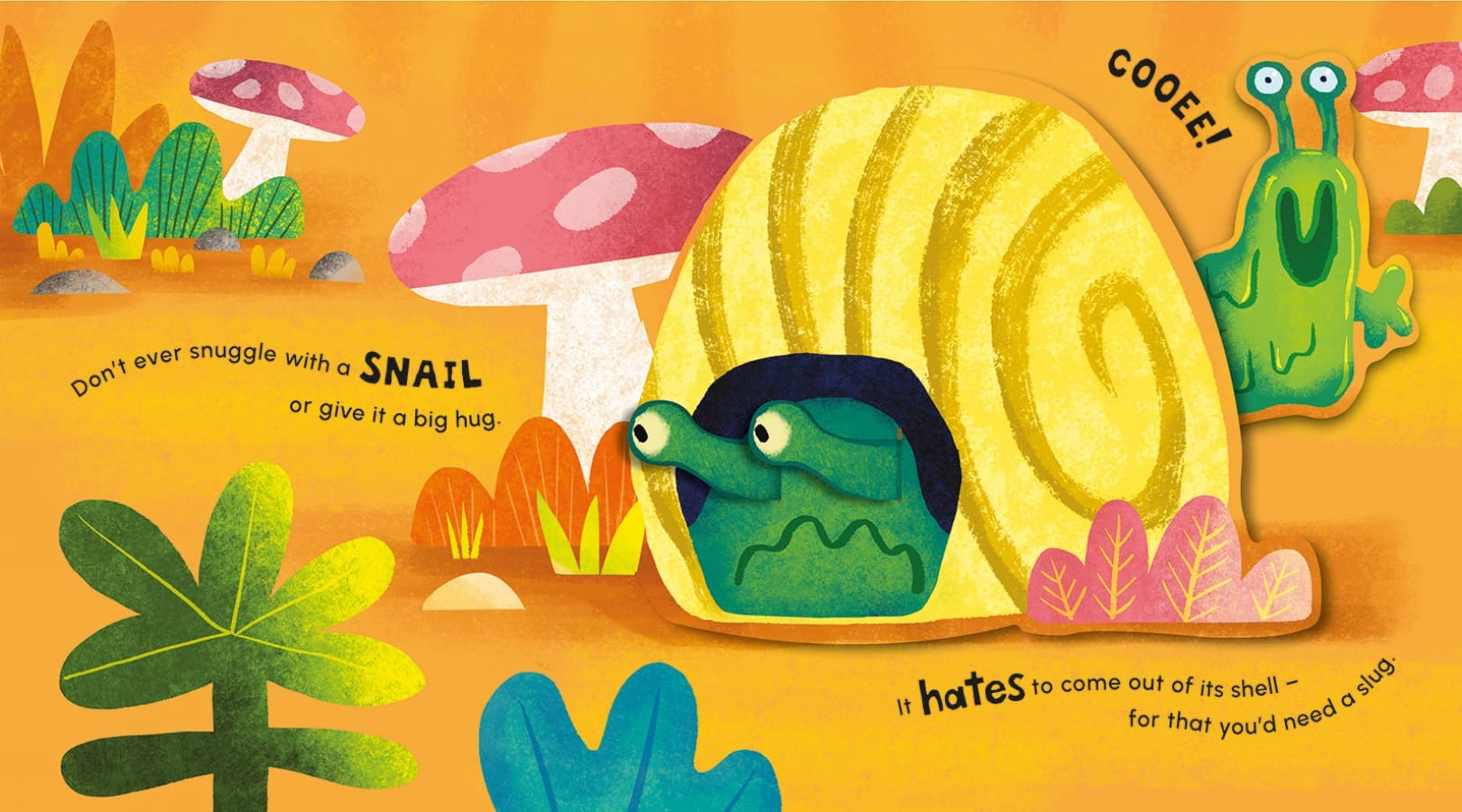 Don't Ever Laugh at a Ladybird - Little Tiger