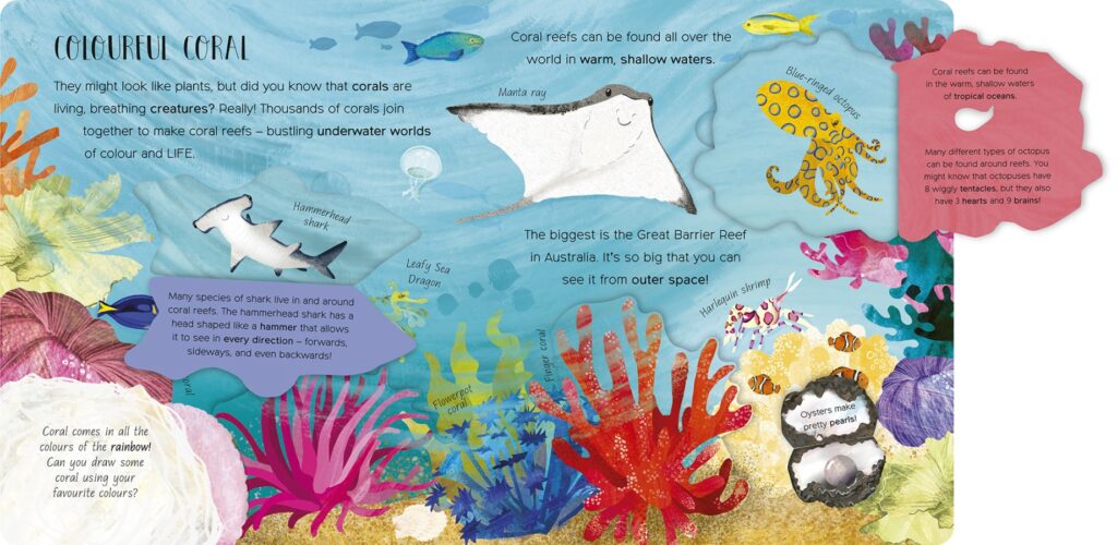 One Little Fish - Little Tiger