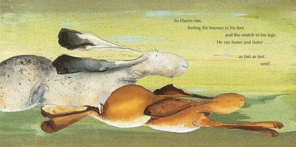 Harris Finds His Feet - Little Tiger