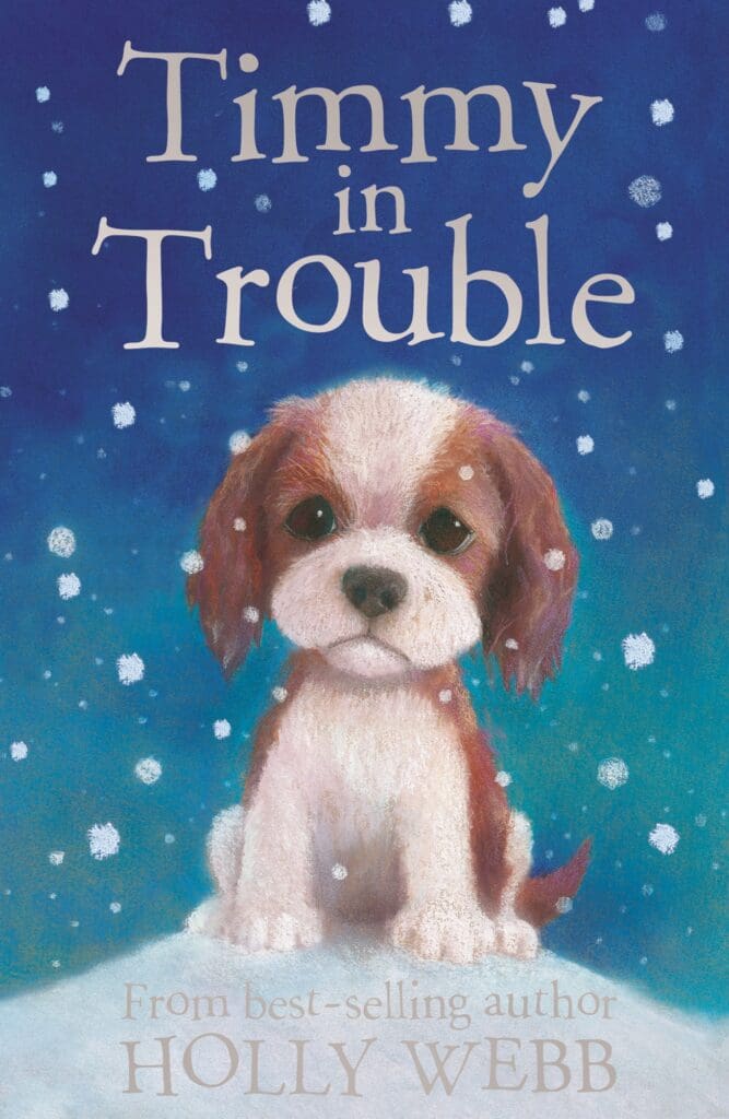 Timmy in Trouble - Little Tiger