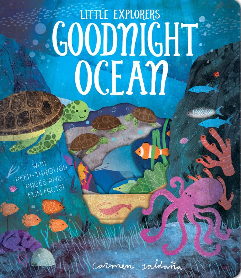 Goodnight Ocean - Little Tiger