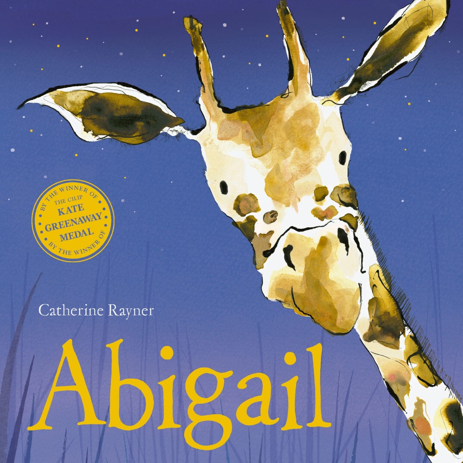 Catherine Rayner - Little Tiger